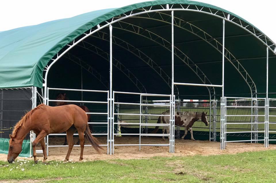Hardlife Cort pentru animale - 12m x 12m